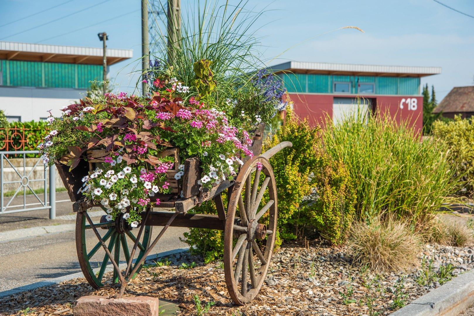 Galerie Photos - Sainte-Croix-en-Plaine - Haut-Rhin - Alsace